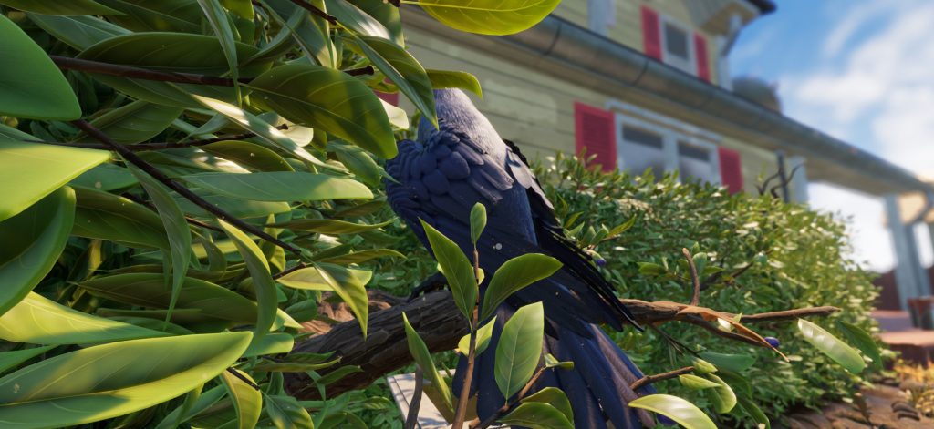 Feathers in Grounded: A how-to guide - Lords of Gaming